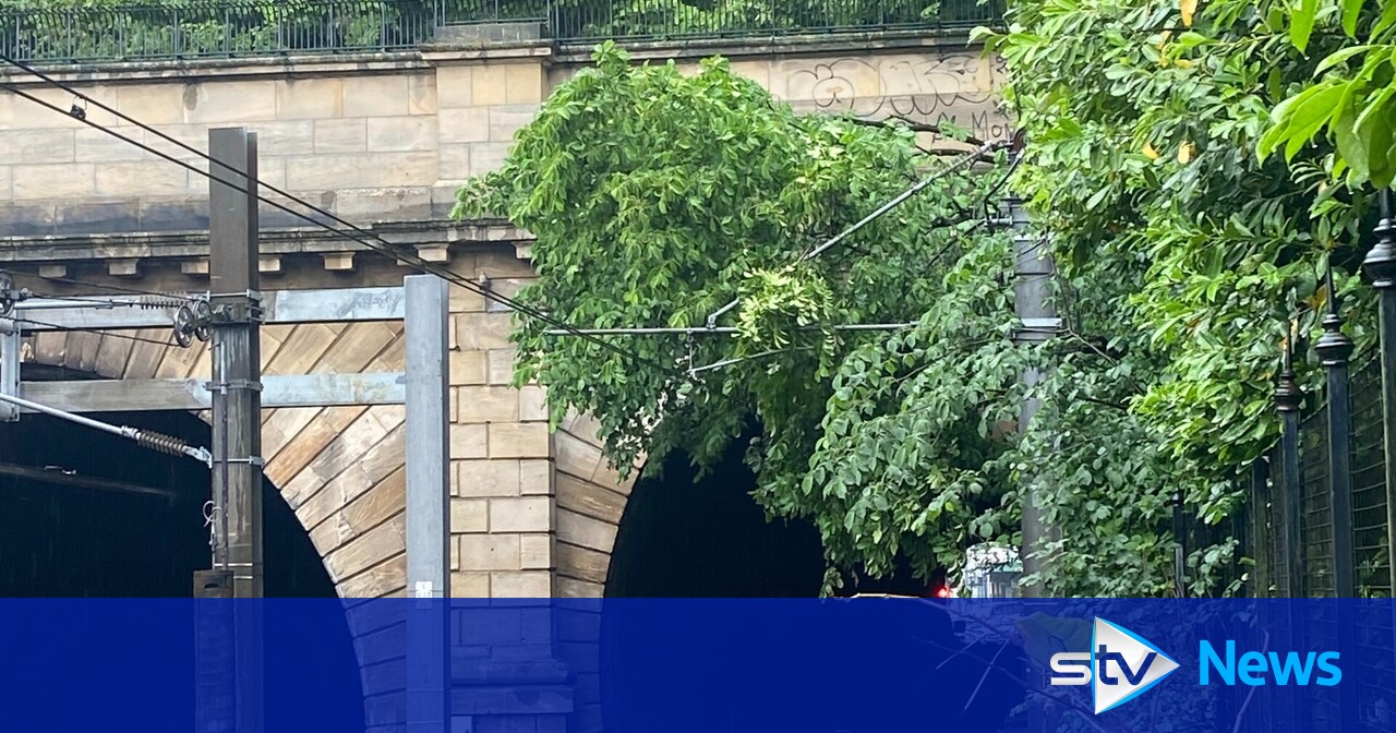 Fallen tree causes loss of power to railway lines surrounding Edinburgh ...