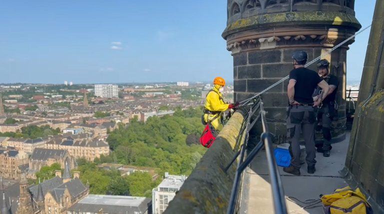 Peregrine falcon chick dies from bird flu weeks after hatching on top ...