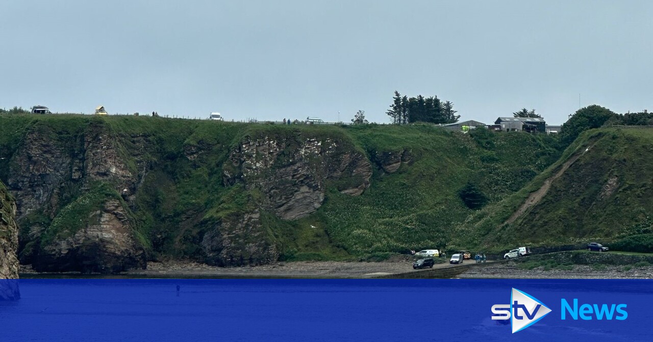 Alpha luke facial her English is above normal and she