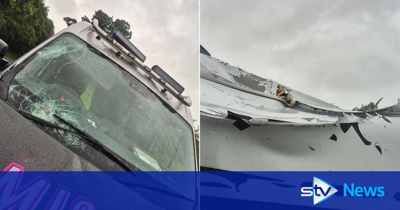 Driver's near miss as work van destroyed by falling tree during Storm Floris | STV News