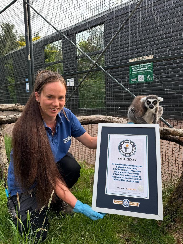 Tributes to 'cherished' world's oldest captive lemur two decades at ...