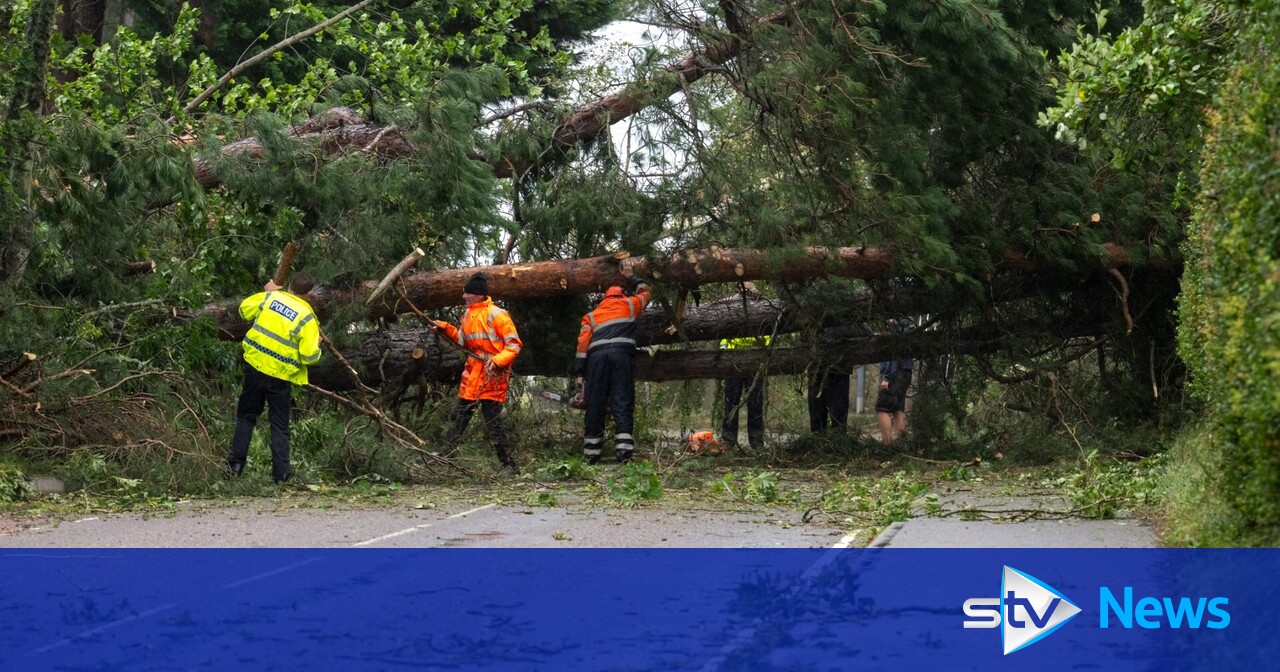 Storm Floris disruption continues as fallen trees block railway and ...