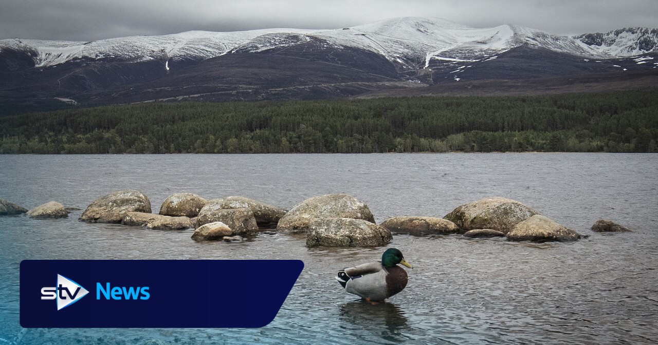 National parks receive cash to help with ‘global fight’ for nature and ...