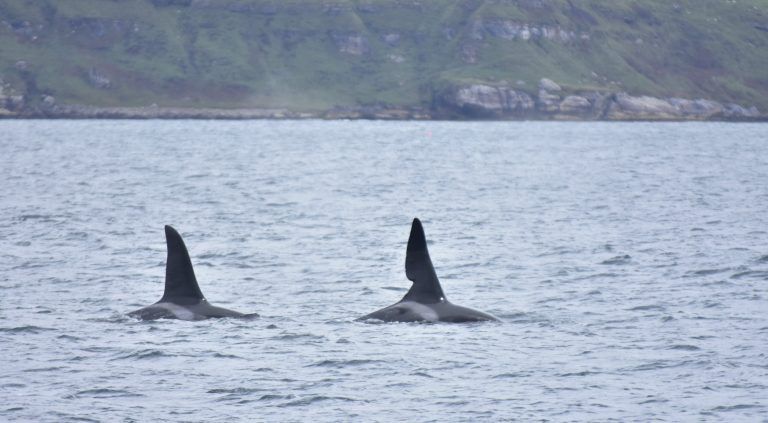 MDF factory faces huge fines after workers seriously injured in ...