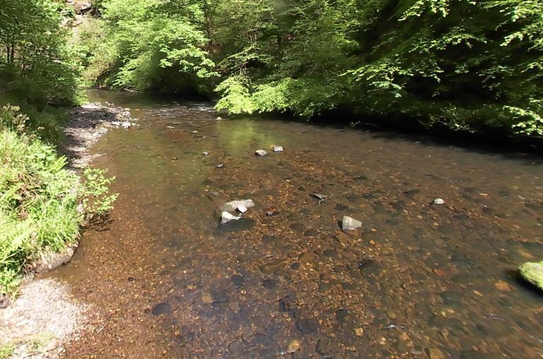 Probe into pollution incident in River North Esk in Midlothian ongoing ...