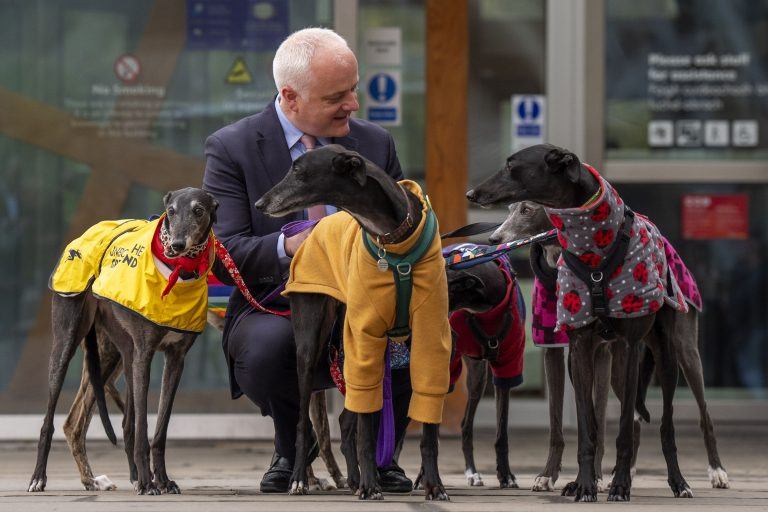 Scottish Government to support Green Bill to end greyhound racing | STV ...