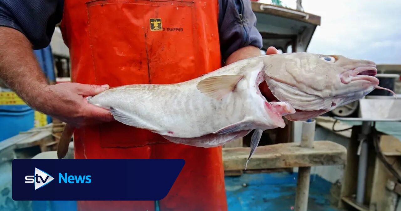 Scottish ministers urged to end 'pointless' seasonal Clyde fishing ...