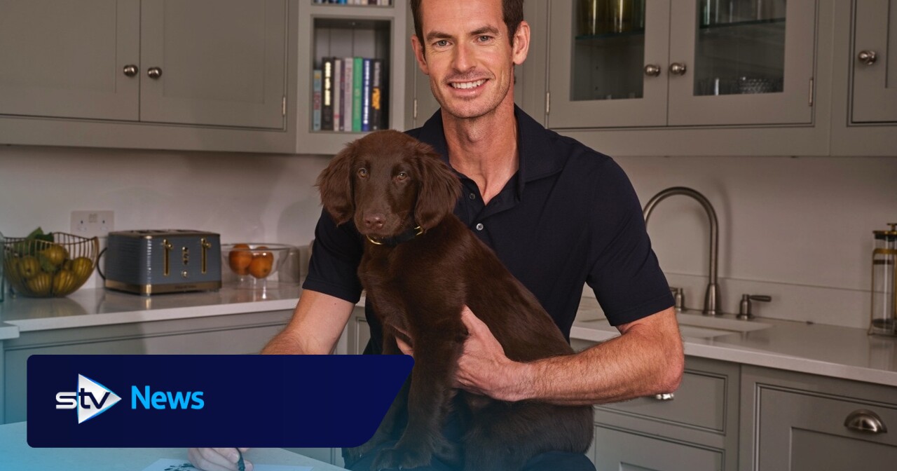 Andy Murray and new puppy Bonnie to become face of pet food Purina ...