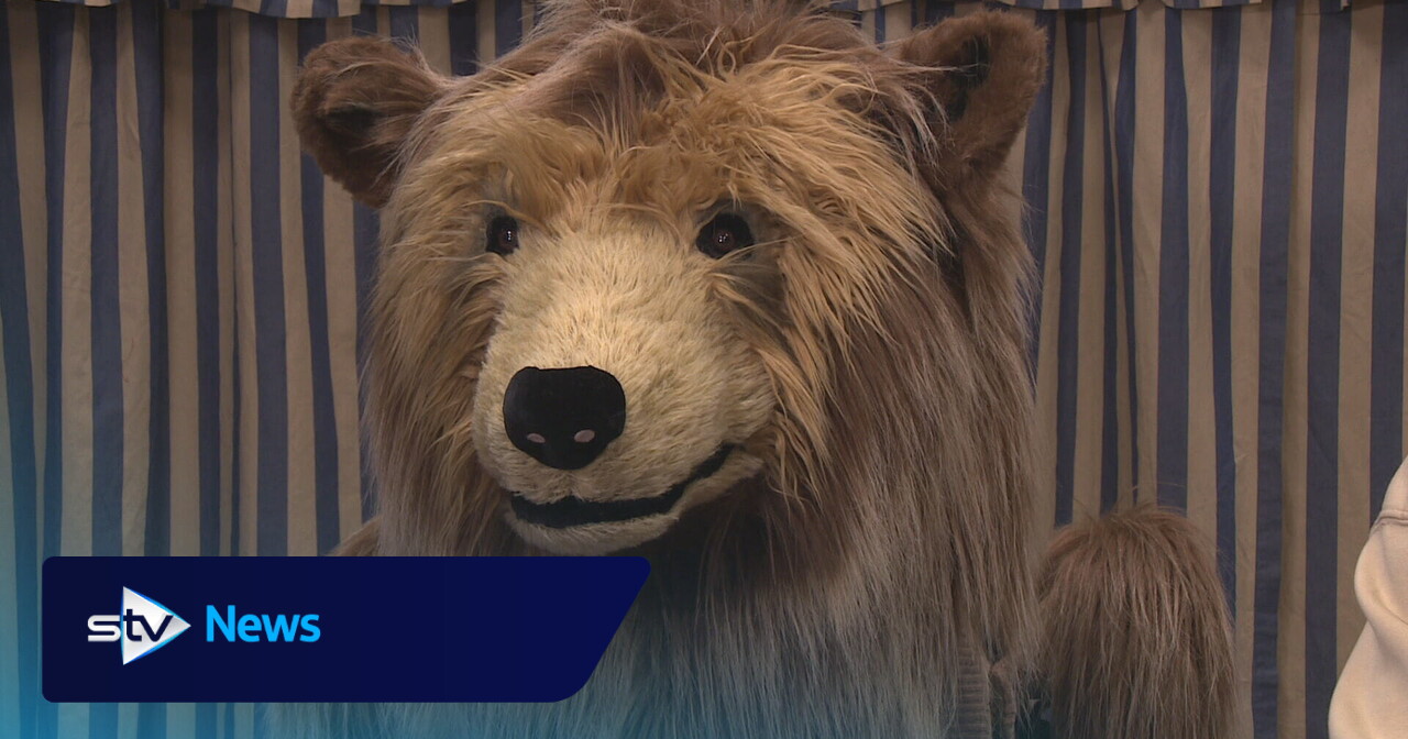 Hercules the Bear takes to the stage in new Scottish tour | STV News