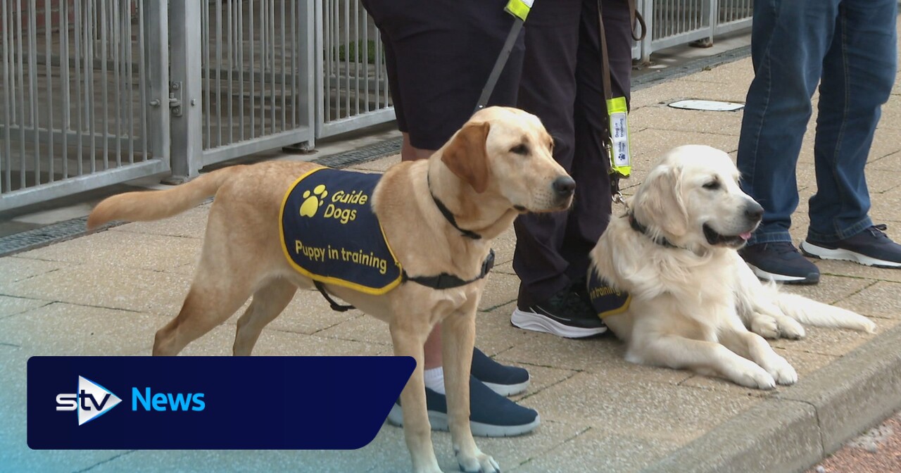 Guide Dogs Scotland: 'Without the community, it wouldn't be possible ...