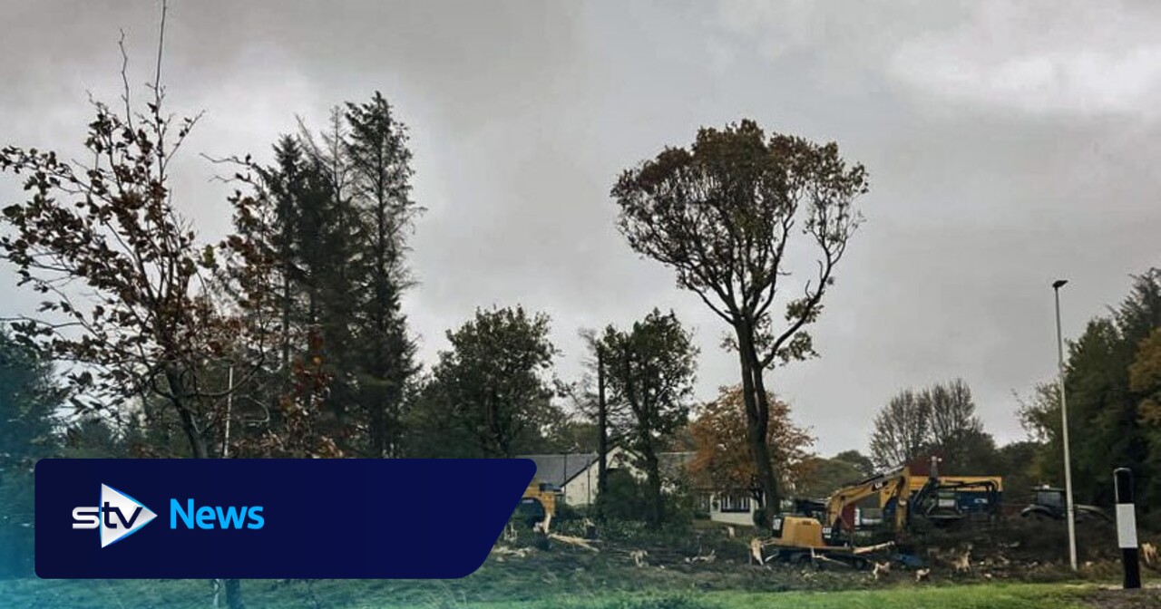 Backlash after East Kilbride restaurant owners cut down 80 trees ...
