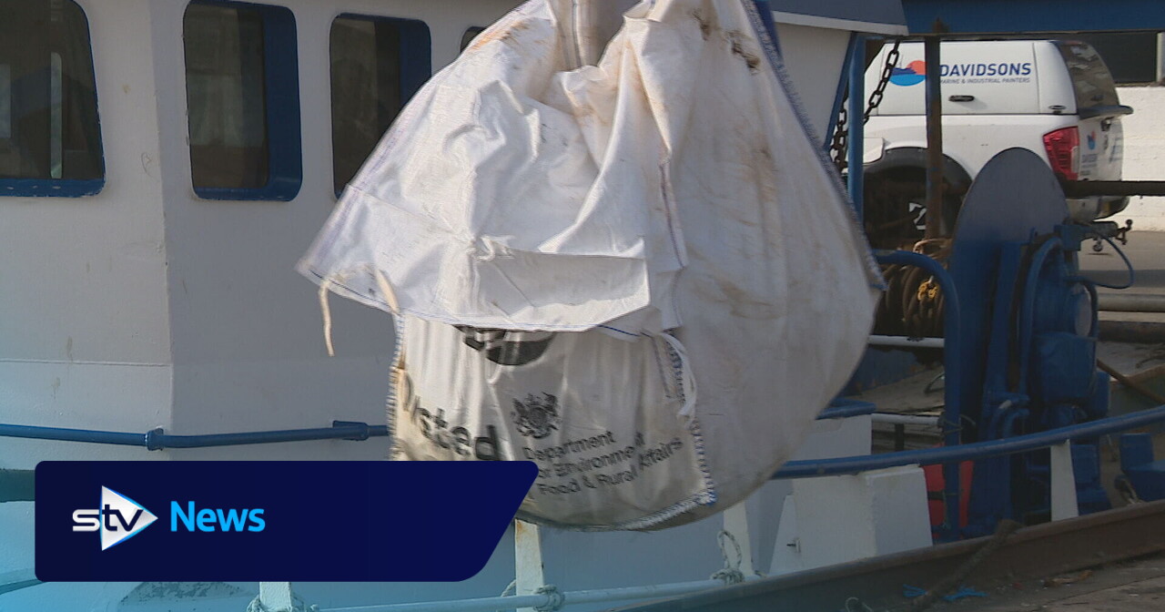 Fishing for Litter: Golf balls, vapes and Christmas trees among debris ...