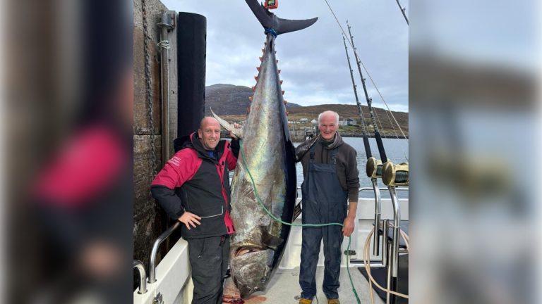 Fisherman nets massive 800lb tuna off coast of Harris in Western Isles ...