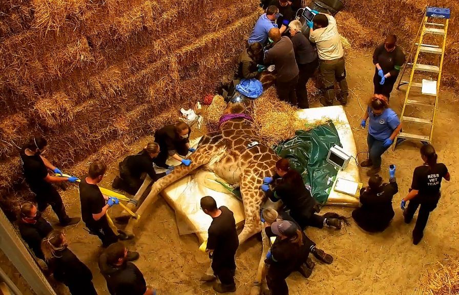 The Haar: What is the Scottish phenomenon visible from space? | STV News