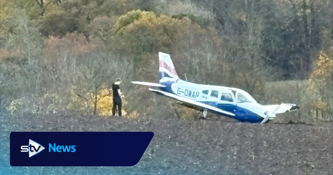 Eyewitness describes moment light aircraft crashed into field near ...