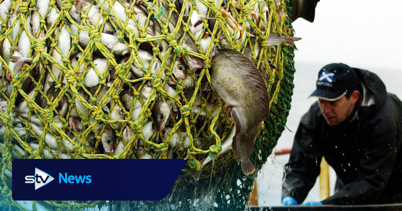 UK Government funding for Scotland’s fishing is an ‘insult’, says ...