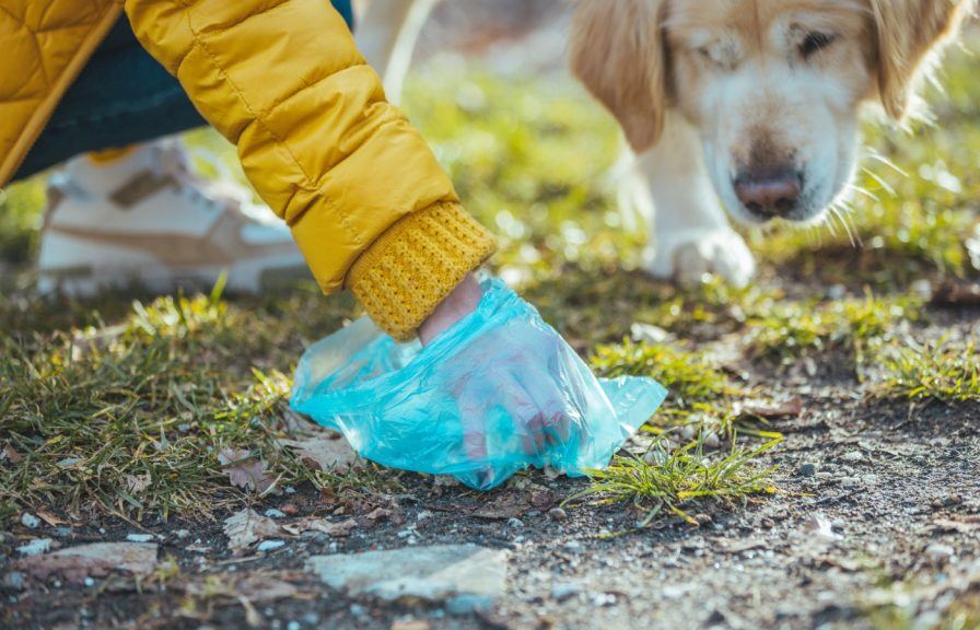 Tributes paid to Crossroads actor Tony Adams after his death at 84 ...
