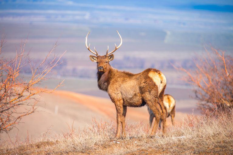 Christmas weather forecast from Sean Batty | STV News