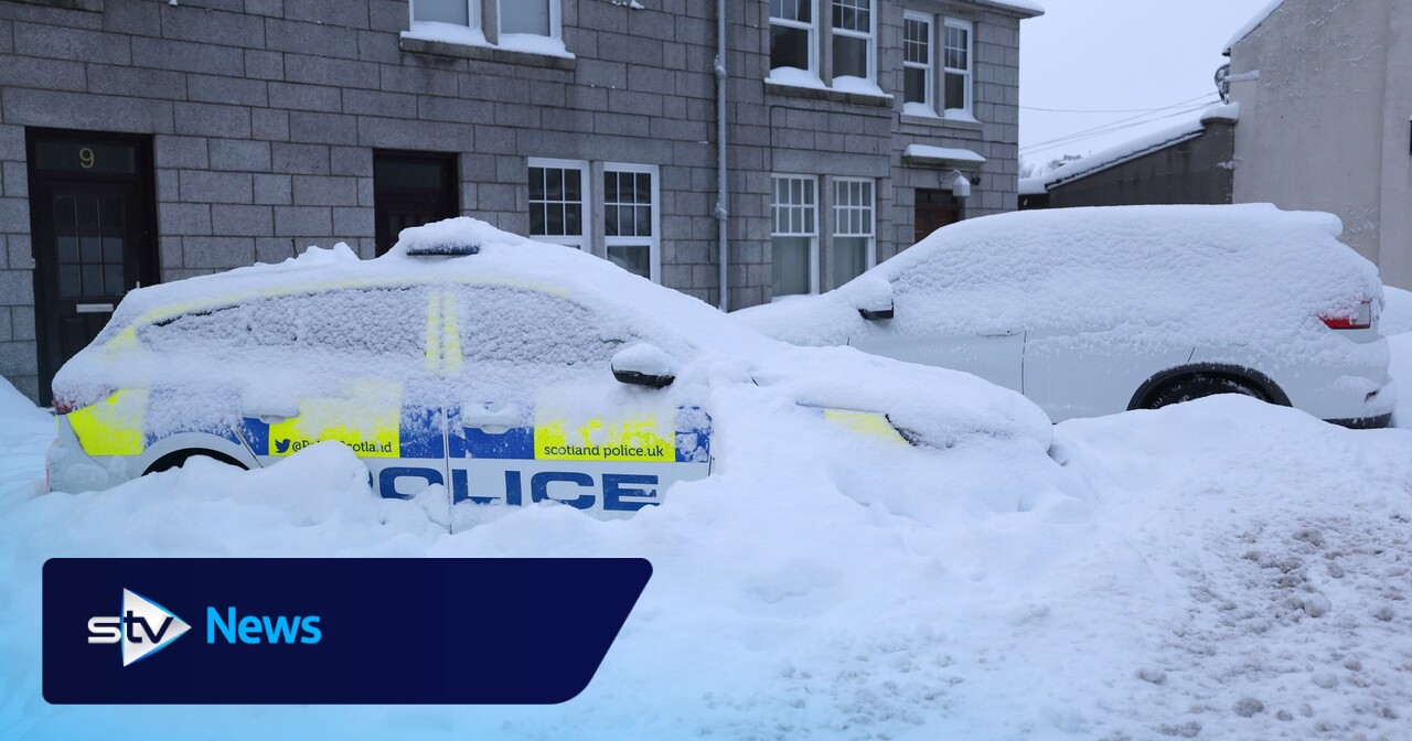 Belle delphine در جنگل