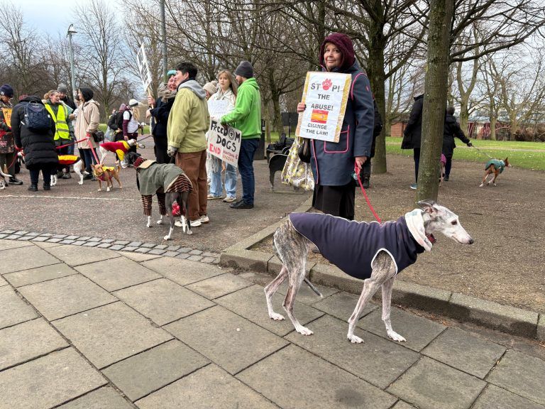 Campaigners march in call to end hunting with dogs in Spain | STV News