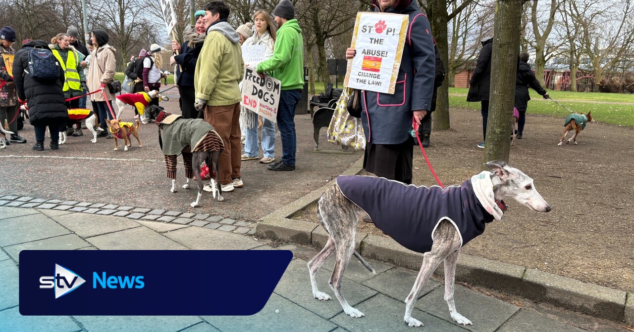 Campaigners march in call to end hunting with dogs in Spain | STV News