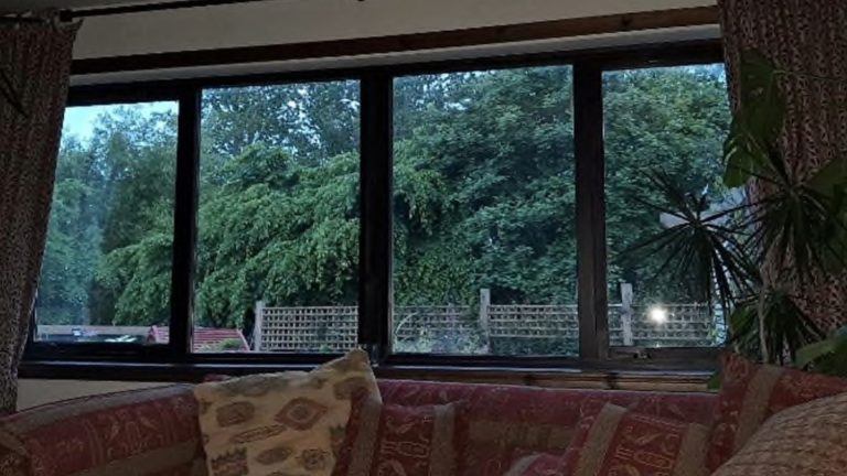Neighbour's row over 'gigantic trees' dismissed by ministers after 30 ...