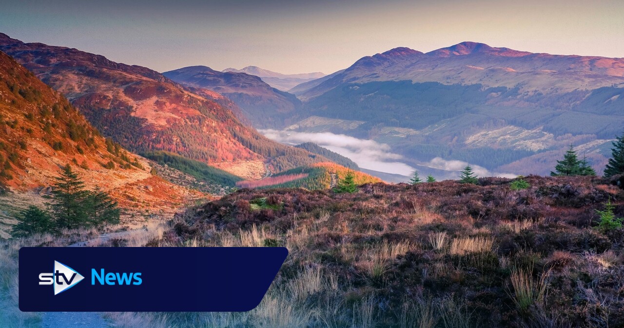 Hunt for man who swung ice axe at woman while walking her dog on ...