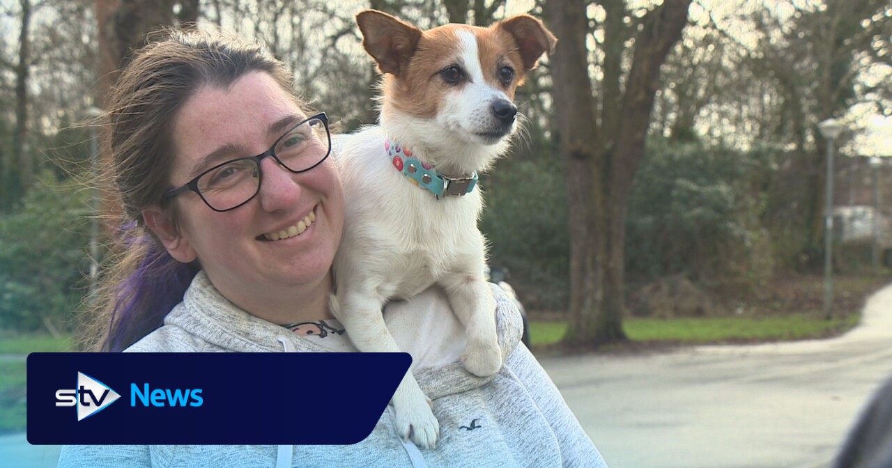 Rescue dog makes finals for Royal Kennel Club Hero Dog Award ahead of ...
