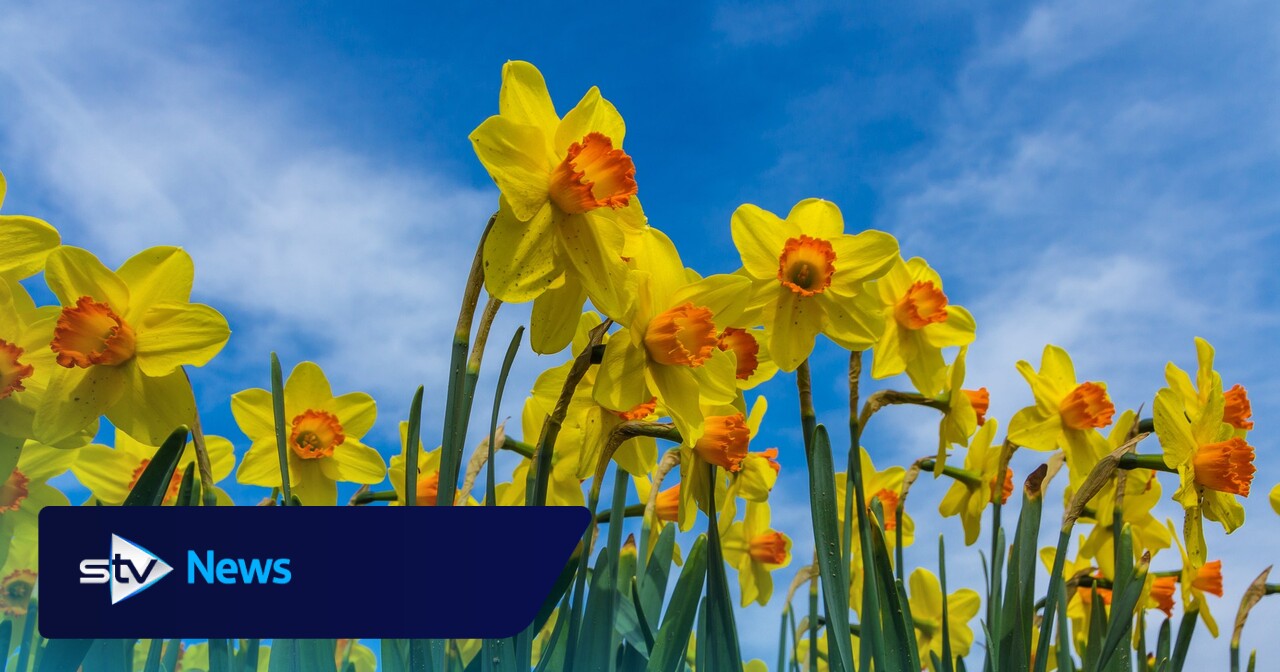 When does spring really begin in Scotland? | STV News