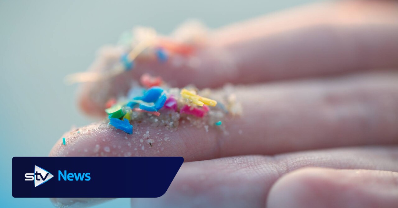 Growing evidence that microplastics impact freshwater wildlife | STV News