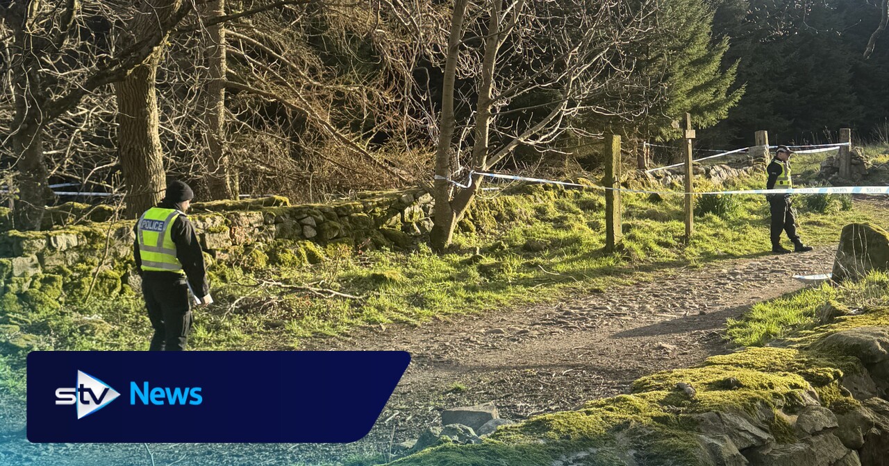 Large wooded area in Aberdeen taped off following incident | STV News