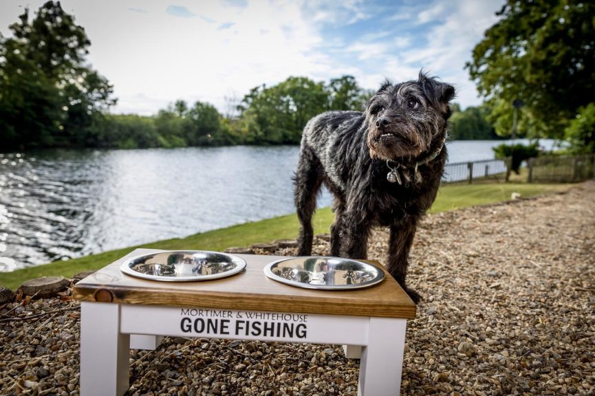 Bob Mortimer ‘very, very sad’ after death of Gone Fishing dog Ted | STV ...