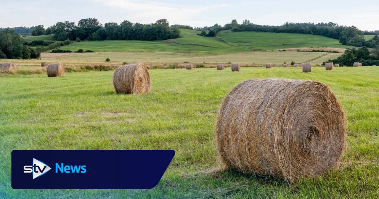 Death of farmer crushed by hay bale in Selkirk to be investigated | STV ...