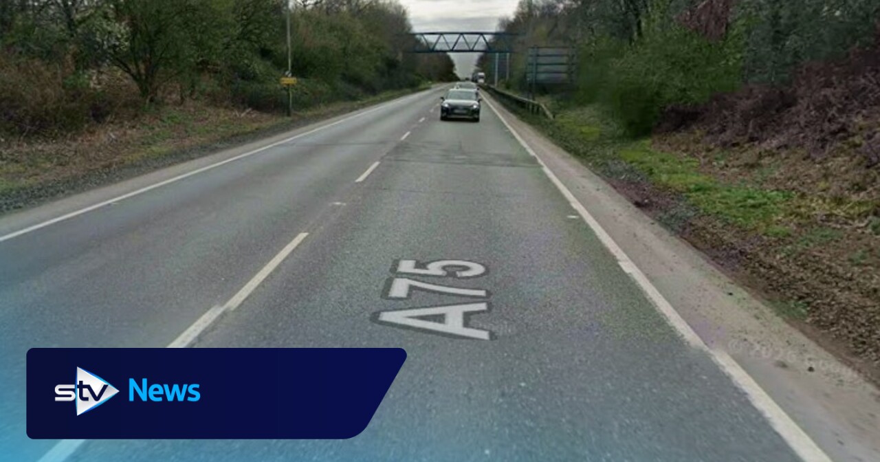 Pedestrian dies after being hit by car in early hours of morning in ...