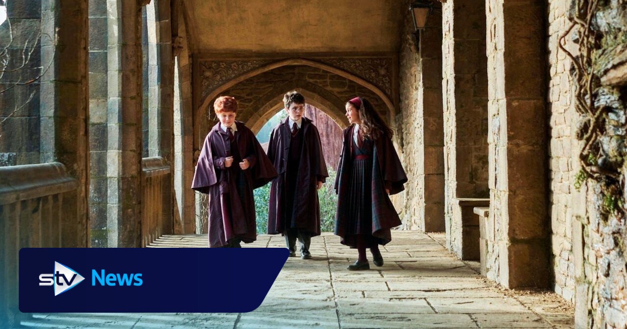 New Harry Potter series renewed for season two before premiere airs ...