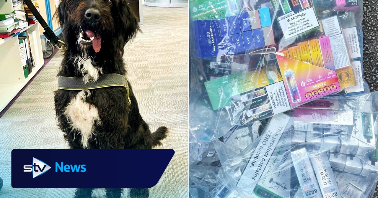 Almost 200 illicit vapes seized in North Ayrshire thanks to 'vapedog ...
